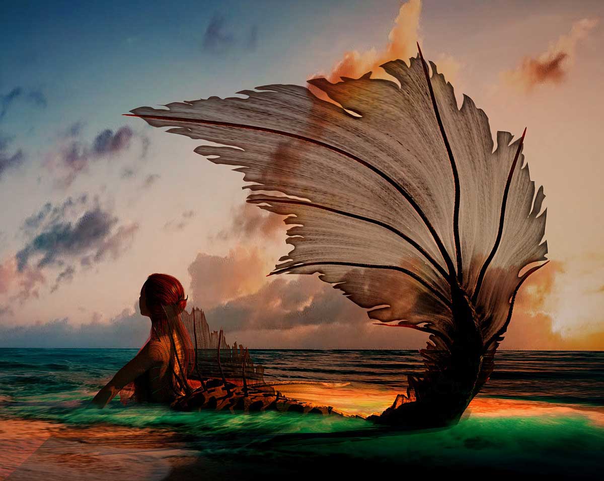La Sirena. Historia y Mitología - The School Blog